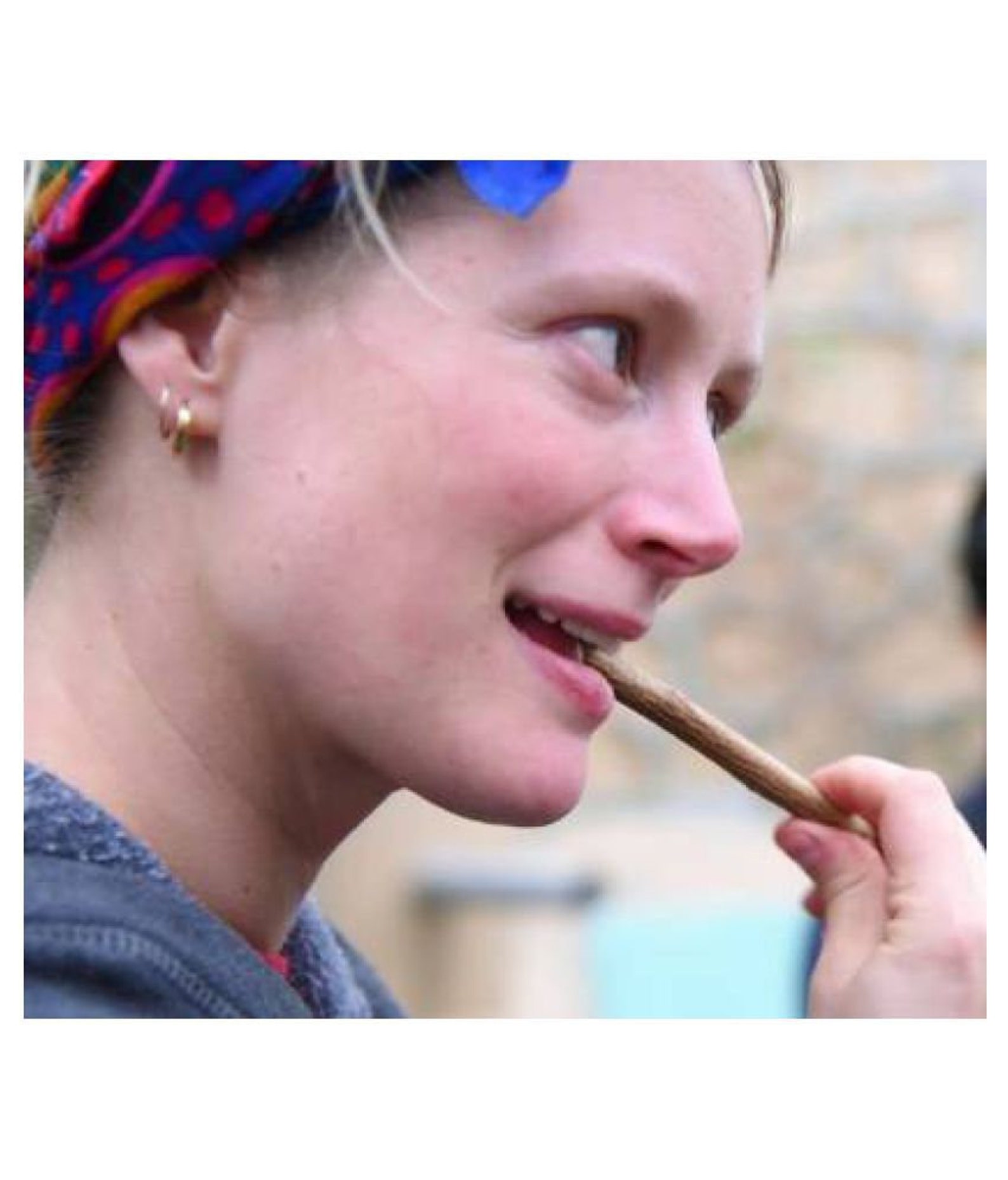 Raw Herbsjadi Booti Neem Daatun Neem Datoon Neem Datun Size - Etsy