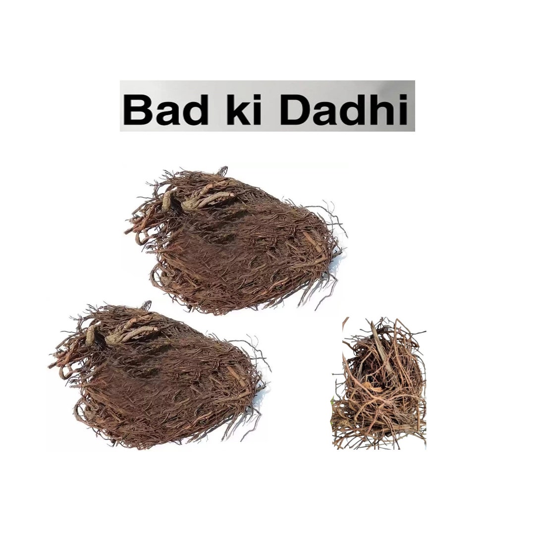 Bargad Ki Dadhi, Ficus Benghalensi, Jatavata, Banyan Aerial Root, Raw ...