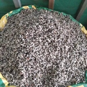 Herbaceous Cotton Plant Seed, Cotton Plant Seeds, Gossypium Herbaceum ...