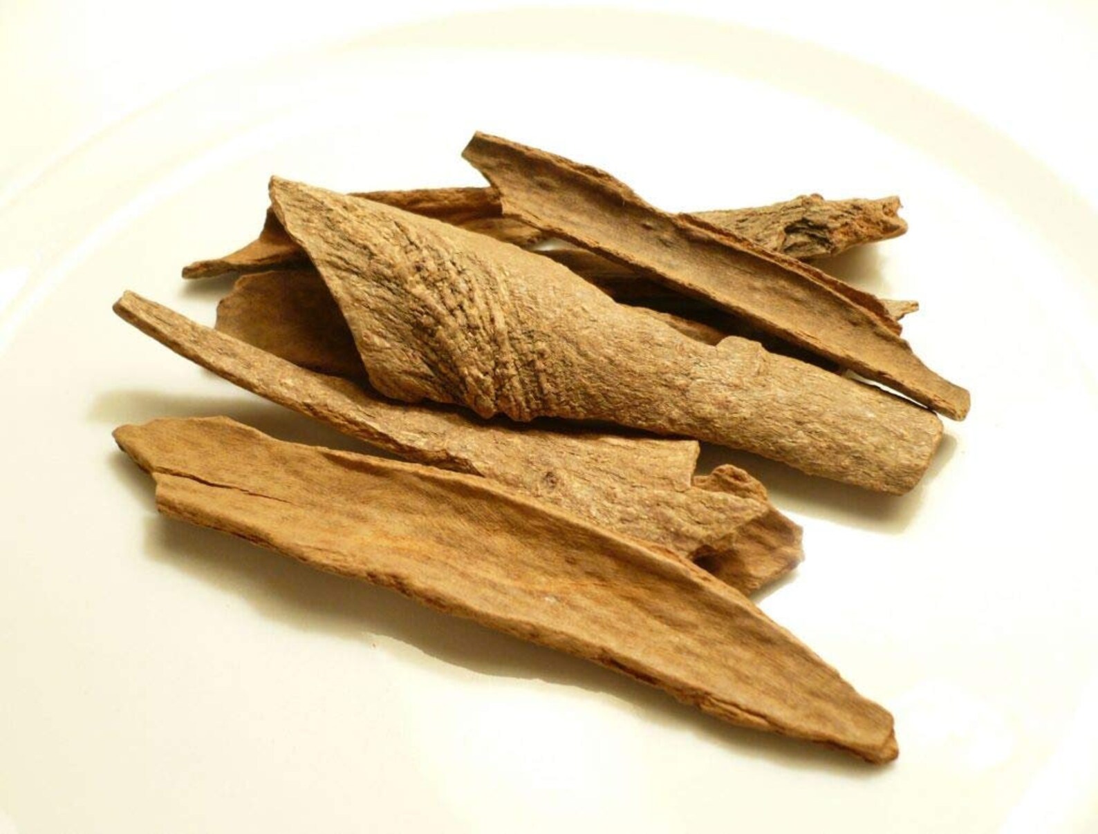 Lodhra Bark, Lodh Pathani, Symplocos Racemosa, Lodhra Chhal, Symplocos ...