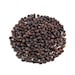 Aaloo Baloo Vaalo, Sour Cherry, Raw Herbs, Single Herbs, Organic Aaloo ...