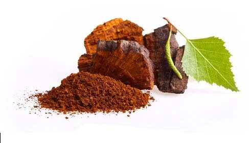 Chaga Mushroom Chunks, Wild Canadian Chaga, Inonotus Obliquus, Brew Tea ...