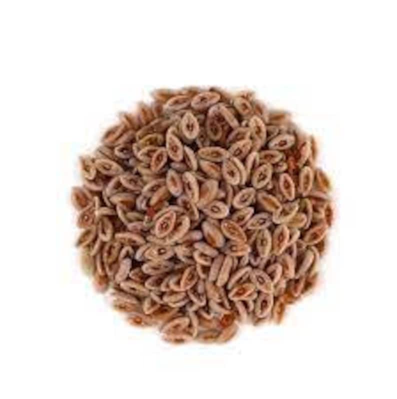 Psyllium Husk, Isabgol Ispaghula, Plantago Indica, Isabgol, Dried Whole ...