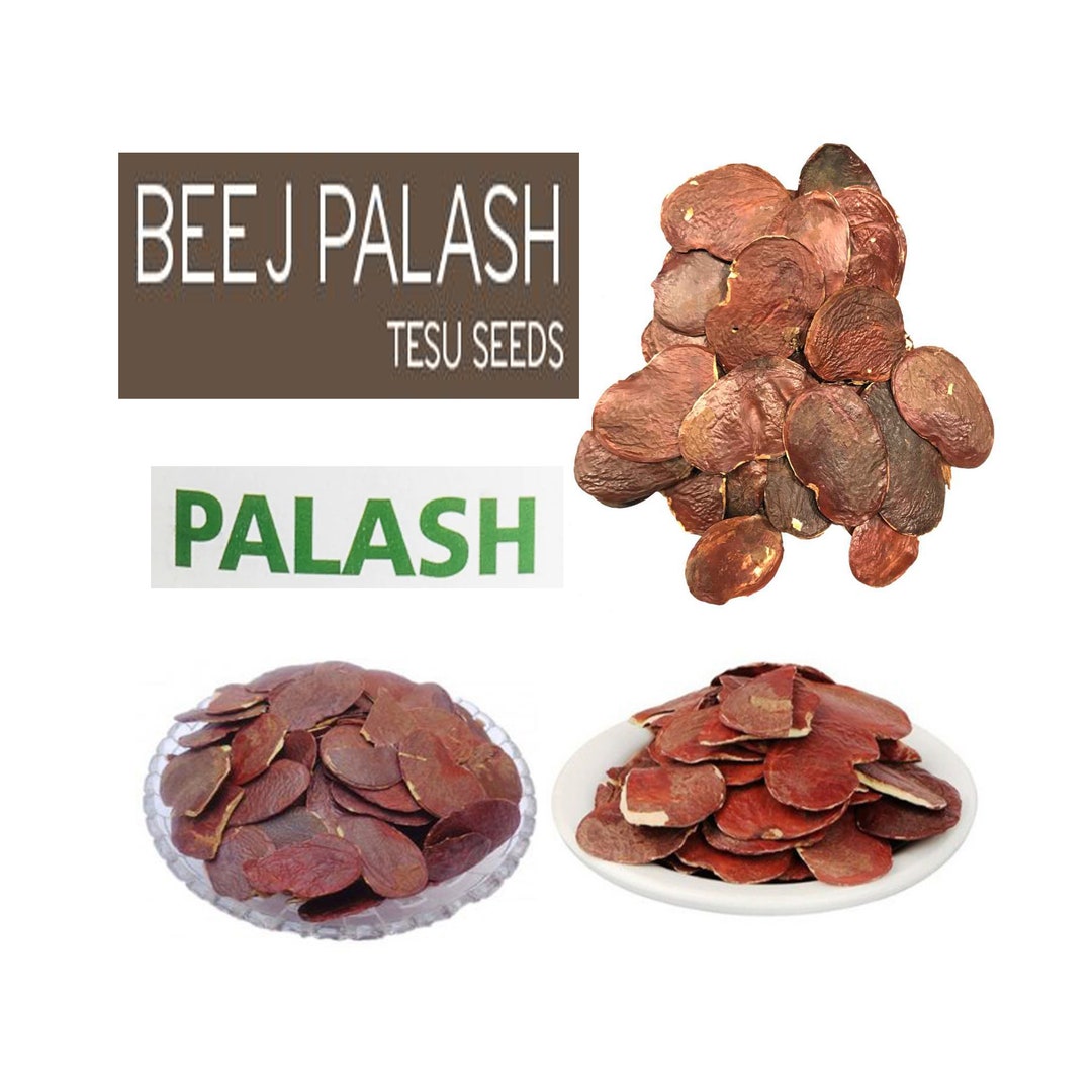 Palas Beej, Butea Monosperma Seeds, Palash Seeds, Bilas Papda, Tesu ...