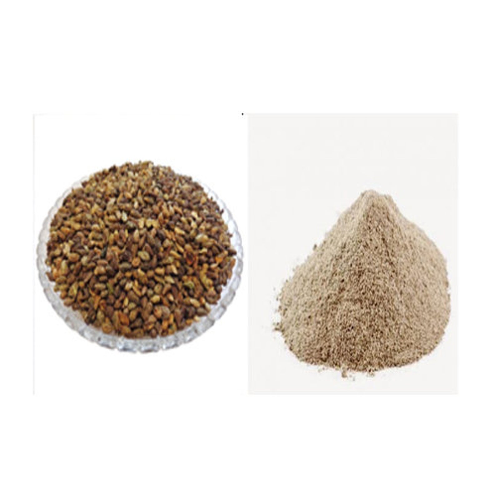 Shivlangi, Shivlingi, Bryonia Laciniosa, Putrajeevak, Shivlingi Seeds ...
