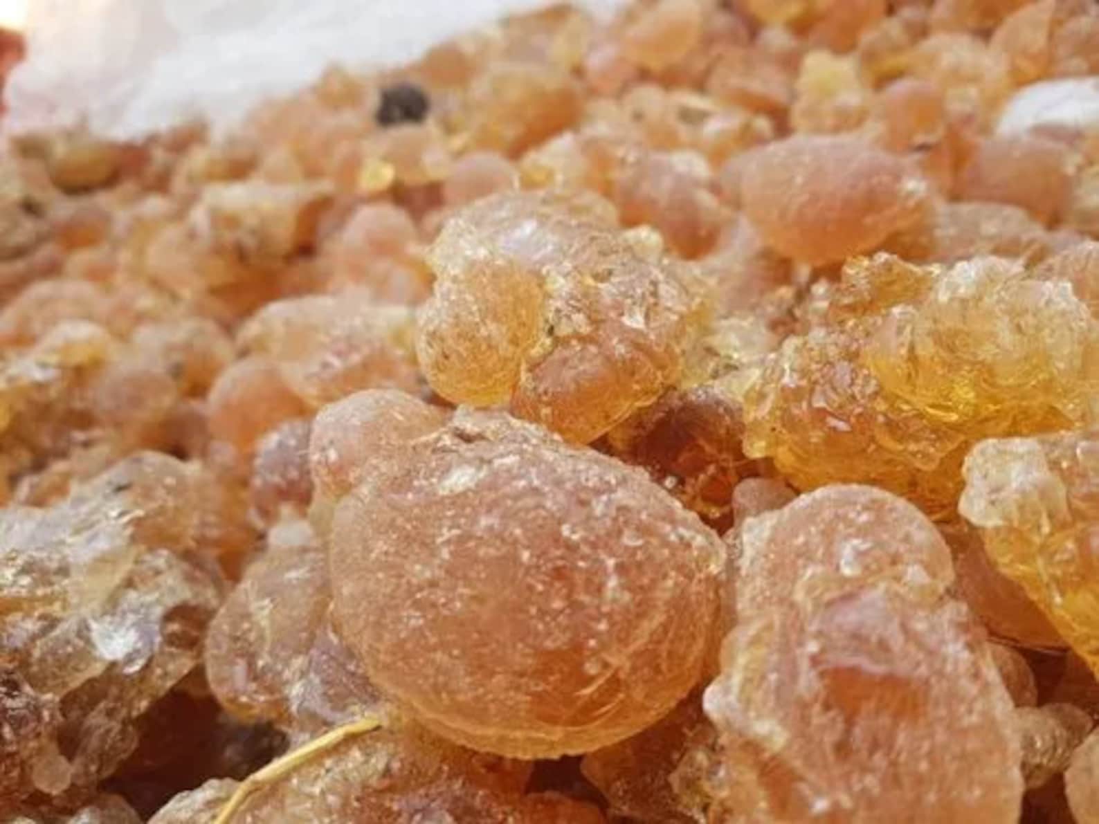Pure GUM ARABIC - Gond - Acacia Babool Gond Acacia Gum Kikar Gond ...