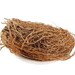 Organic Vetiver Root Natural Organic Herb Chrysopogon Zizanioides Khus ...