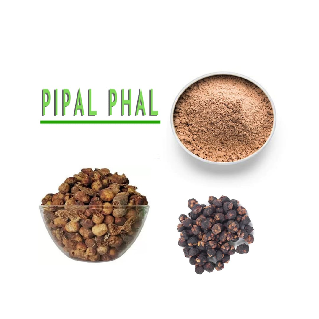 Pipal Phal, Ficus Religiosa, Raw Herb, Peepal Fal, Pipal Fruit, Single ...