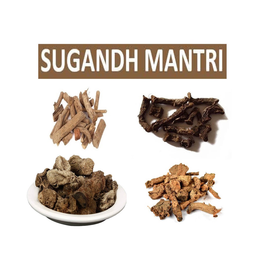 Sugandh Mantri, Homalomena Aromatica, Raw Herb, Gandhi Root, Jadi Booti ...