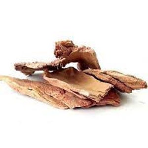 Varun Chaal Churna, Varun Chhal, Churna, Varun Powder, Varuna, Crataeva ...