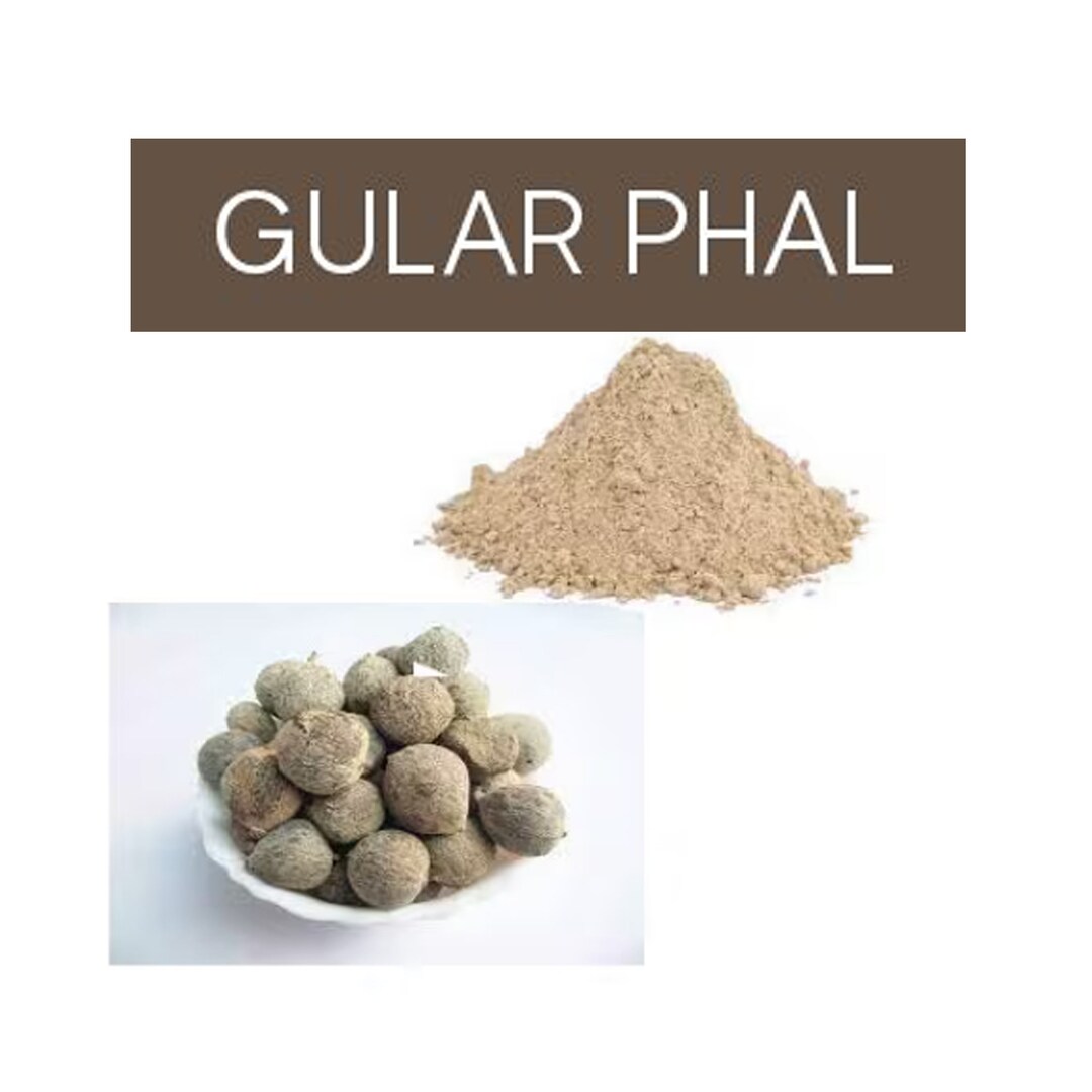 Gular Phal- Ficus Carica-raw Herbs-gular Fal-gular Fruit-single Herb ...