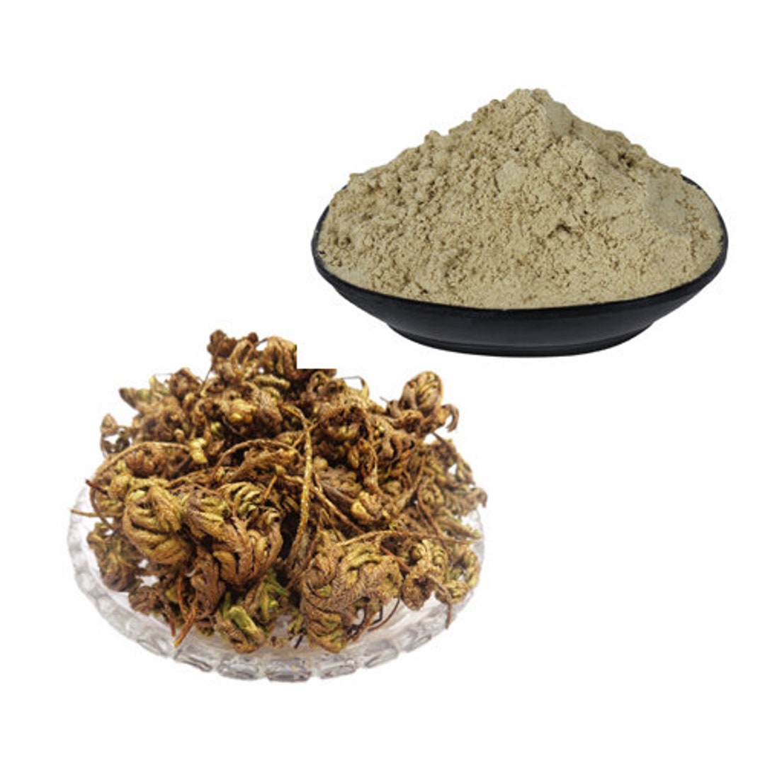 Kaf Maryam Flowers of Maryam Anastatica Hierochuntica - Etsy