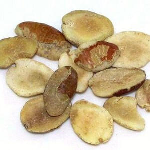 Dried Mango Seed, Mangifera Indica, Raw Herbs, Aam Guthali, Ogbono ...