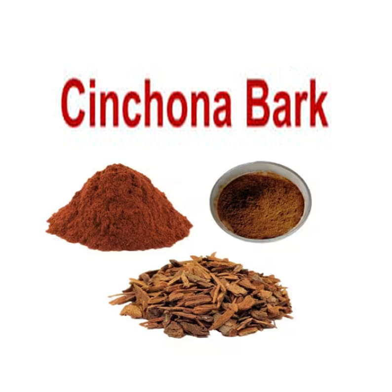 Cincona Bark, Sinkona Bark, Cinchona Bark, Organic Cincona Bark ...