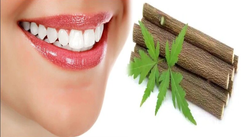 Raw Herbsjadi Booti Neem Daatun Neem Datoon Neem Datun Size - Etsy