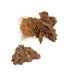 Acacia Arabica Bark, Kikar Chaal, Babool, Raw Herbs, Bark, Babul Bark ...