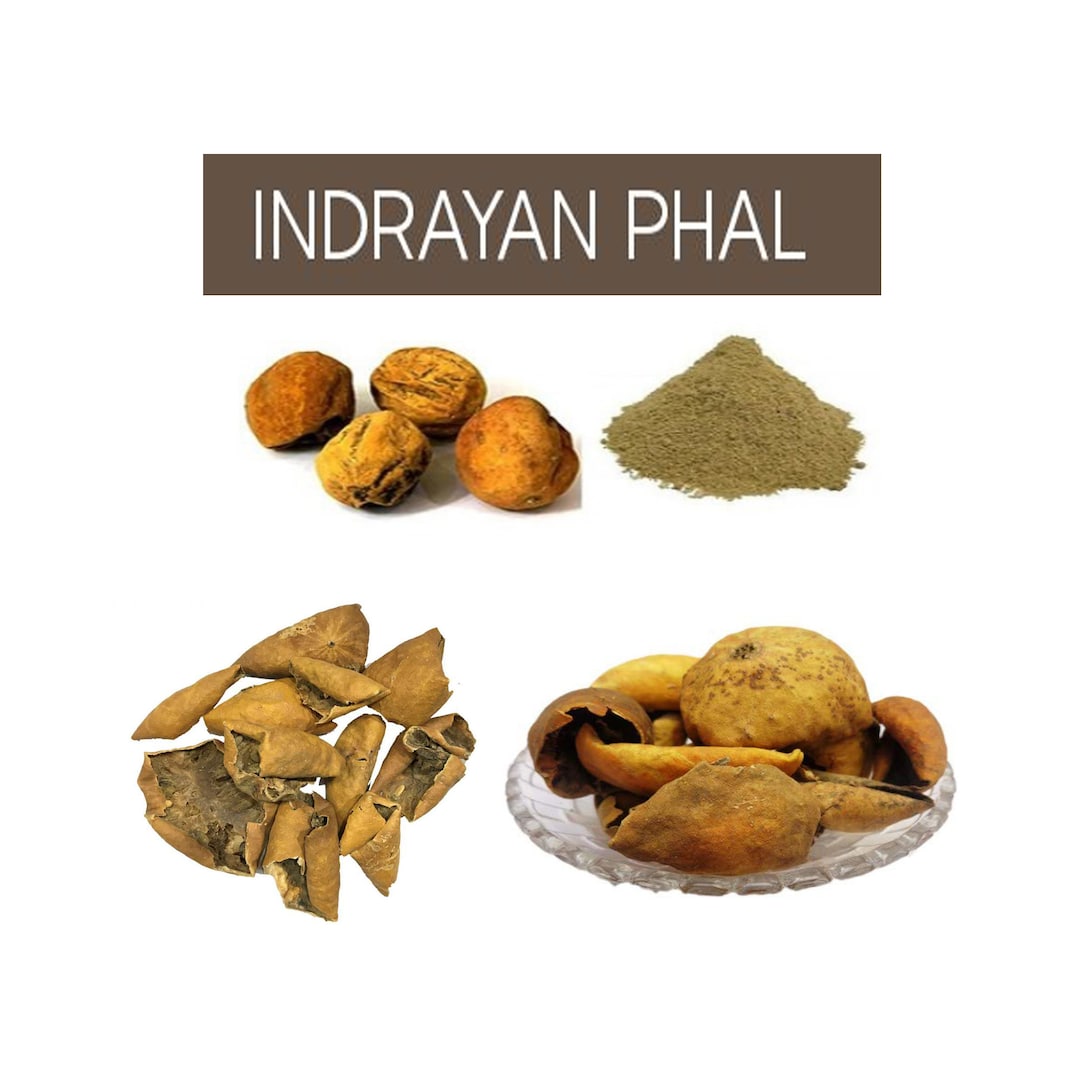 Natural Indrayan Phal,indrayan Phal Powder,citrullus Colocynthis,raw ...