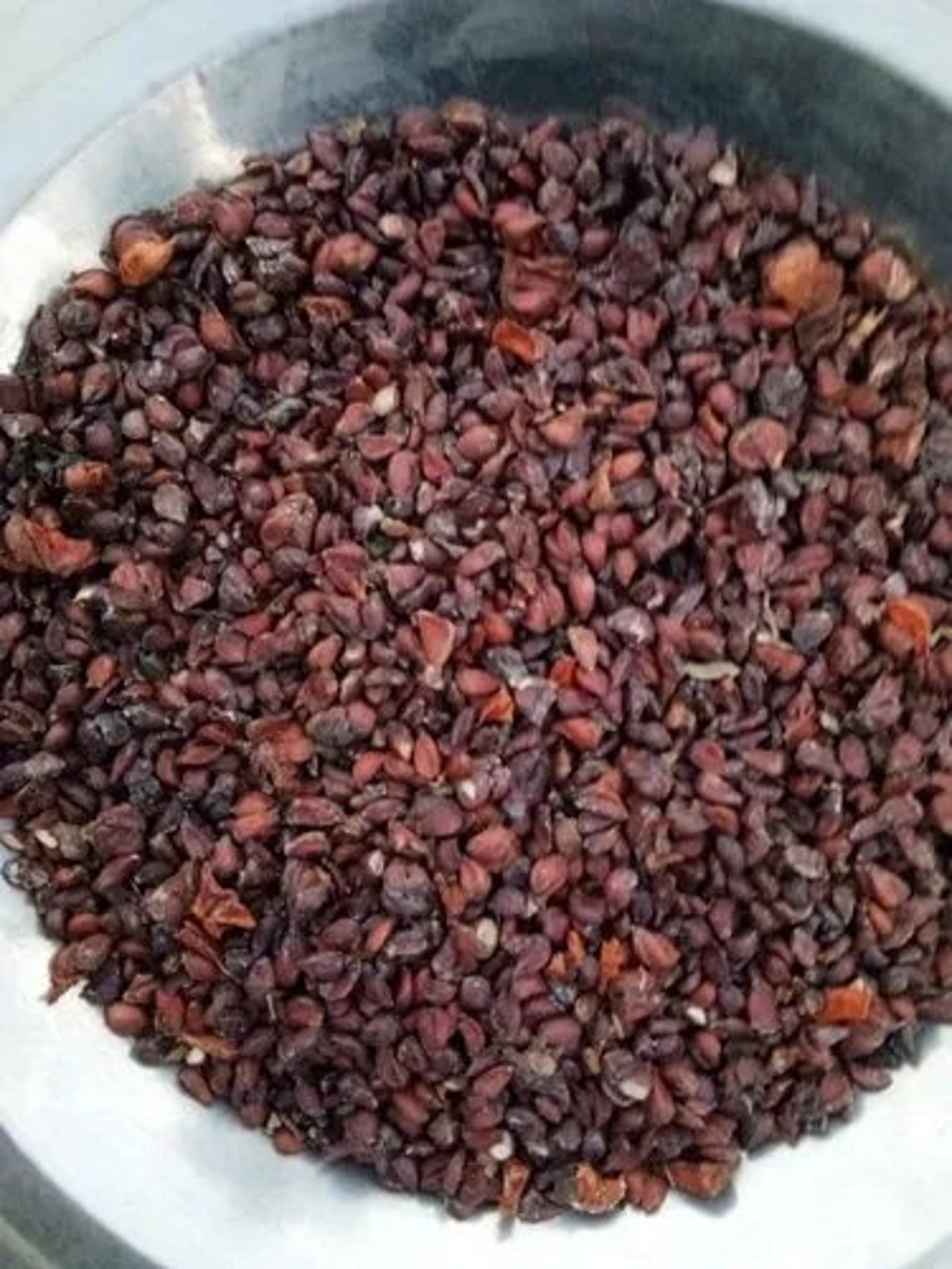 Indian Quince Seeds, Beedana, Bee Dana, Cydonia Seeds, Dried Beedana ...