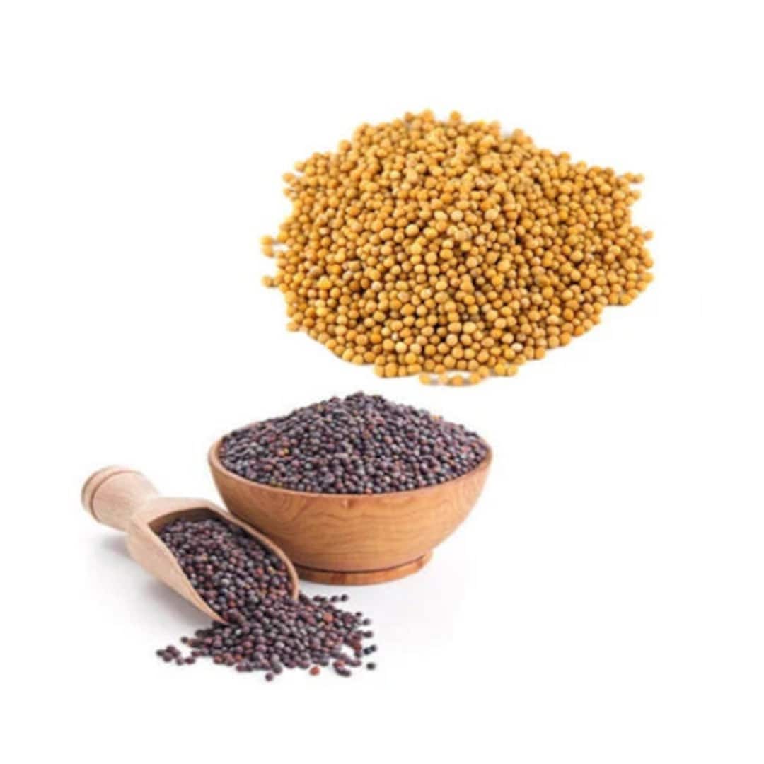 Natural Mustard Seeds BLACK MUSTARD Yellow Mustard Mustard Kali Sarso ...