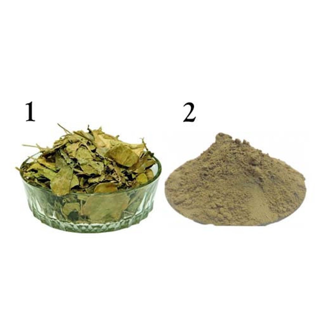 Gudmar Leaves/gurmar Powder/gudmar Powder/gymnema Sylvestre/periploca ...