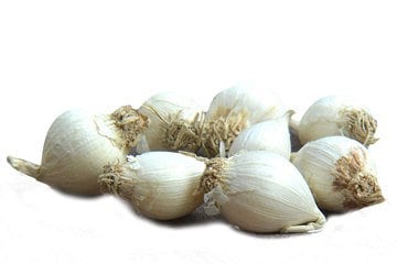 Organic Solo Garlic, Wild Single Clove Garlic, Java Solo Garlic Single ...