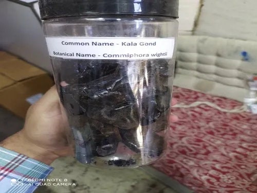 Gond Siyah Elwa Kala Gond Pura Asli Gond Sia Gond Siyah Pure Jadibooti ...