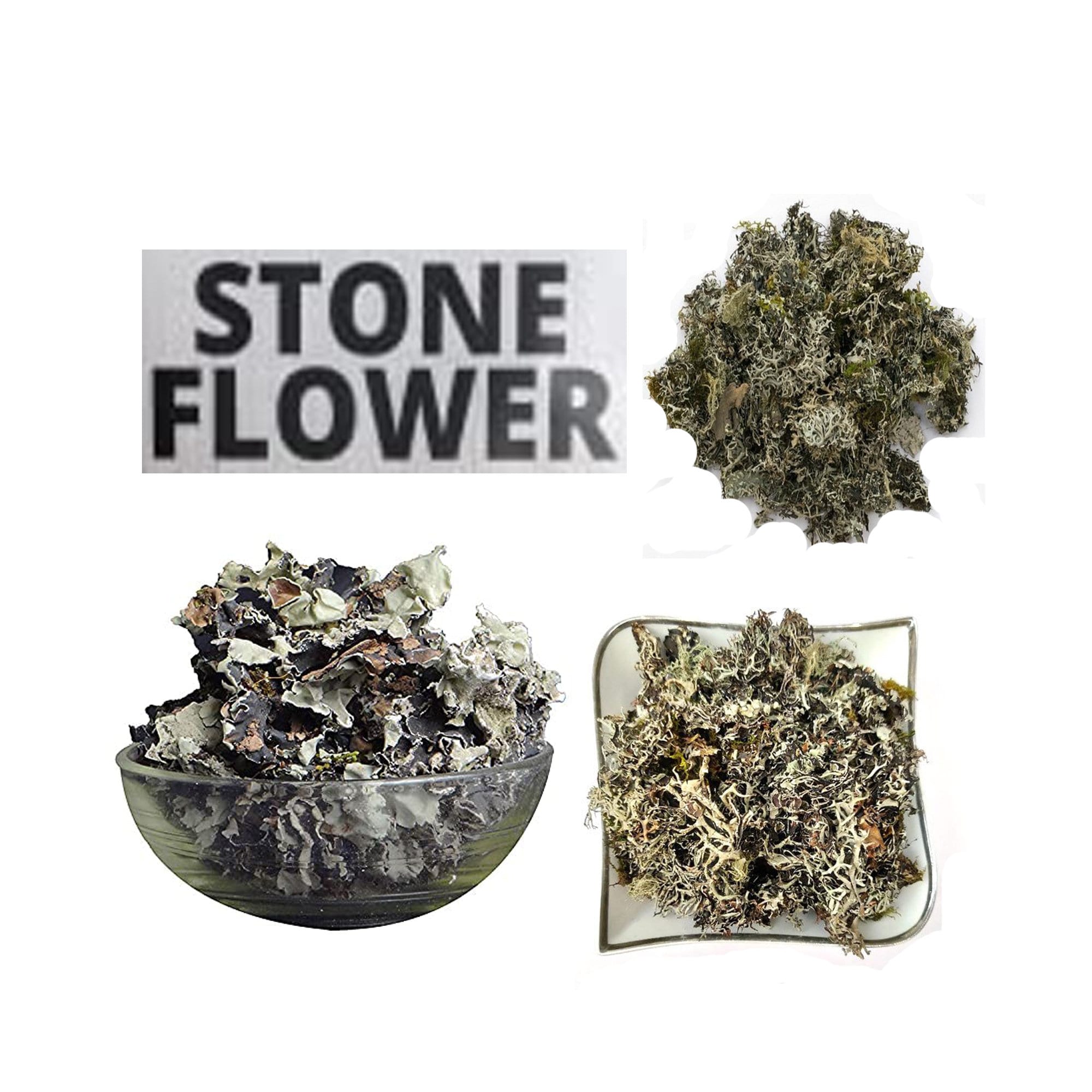 Indian Dagad Flower, Natural Stone Flower, Organic Dagad Phool, Whole ...