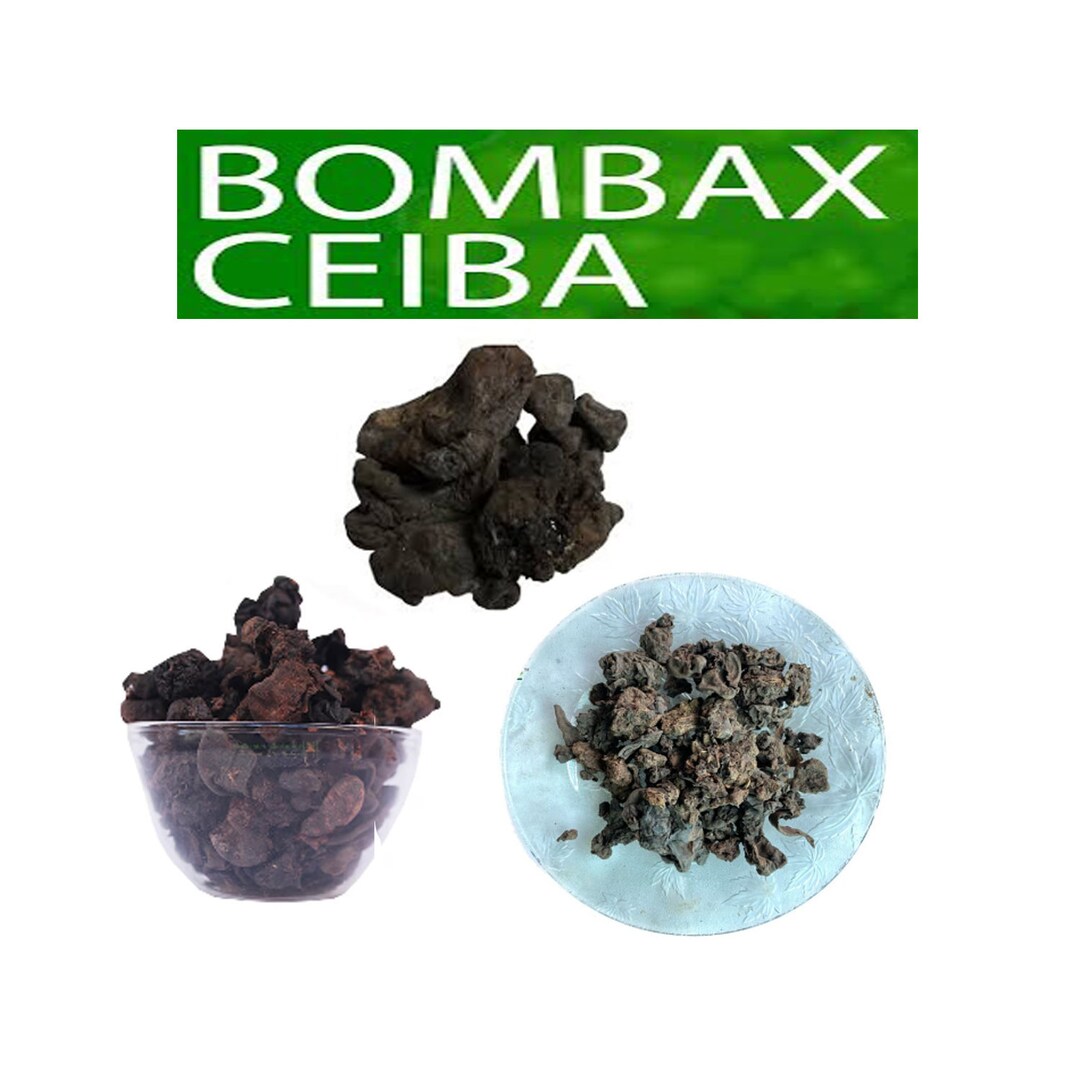 Bombax Ceiba, Mochras, Supari Ka Phool, Mochras, Phool Supari Kali ...