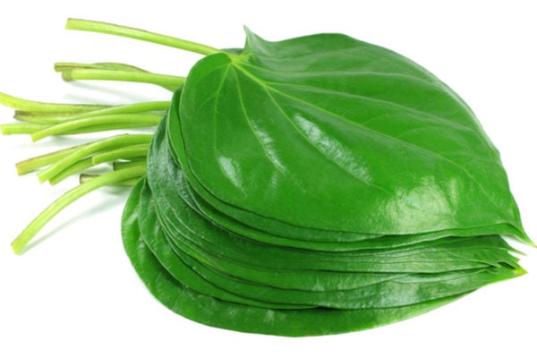Betel Leaf Powder, Paan Leaf, Pan Patta, Betel Pepper, Paan Leaf Powder ...