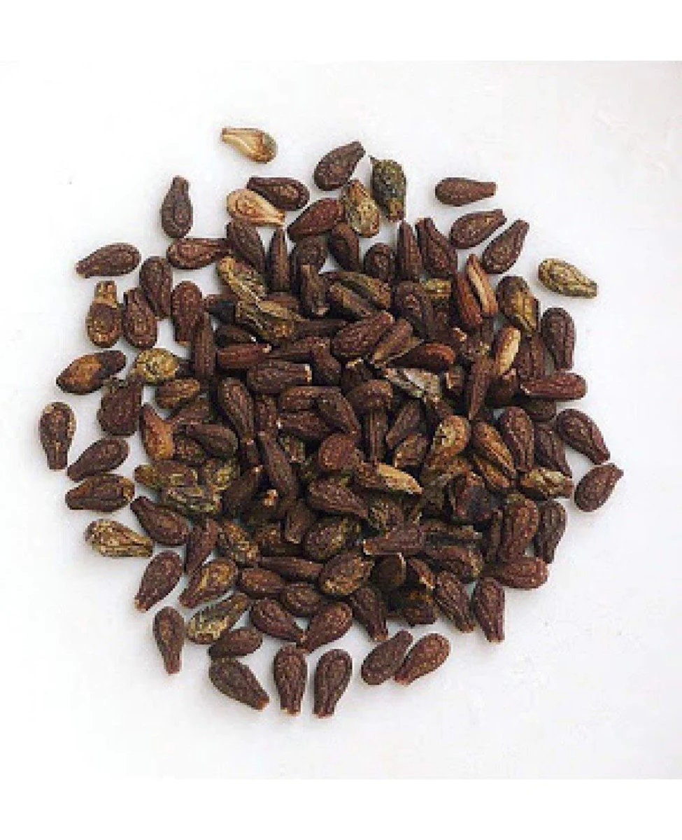 Shivlangi, Shivlingi, Bryonia Laciniosa, Putrajeevak, Shivlingi Seeds ...
