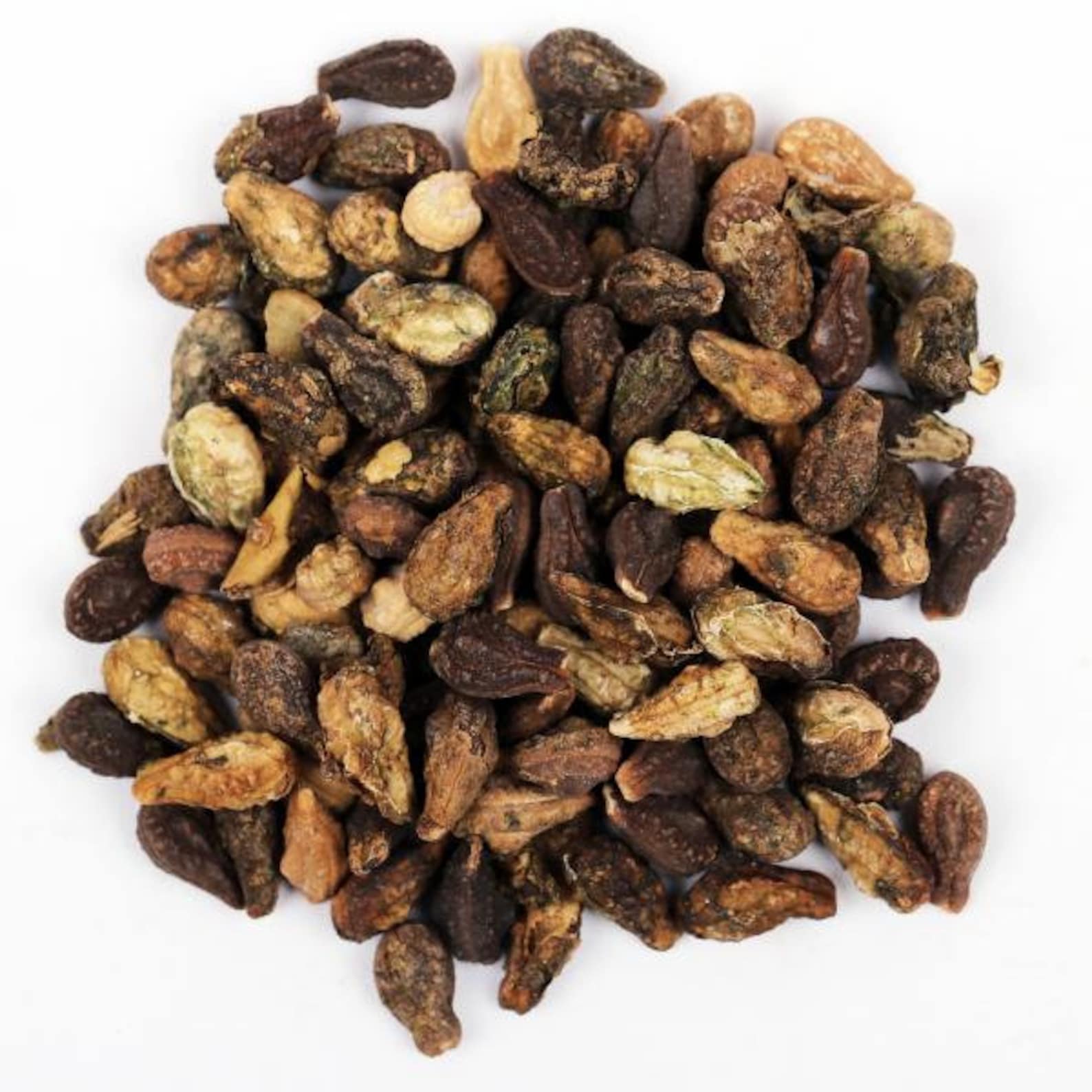 Shivlangi, Shivlingi, Bryonia Laciniosa, Putrajeevak, Shivlingi Seeds ...