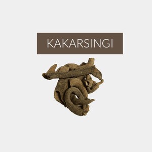 Kakada Singhi Gol, Kakra Singhi, Zebrawood, Pistacia Integerrima ...