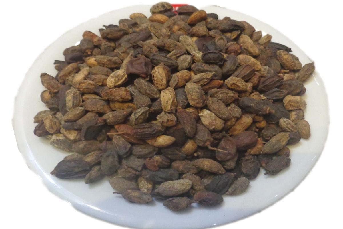 Neem Tree Seeds, Azadirachta Indica Seed, Neem Seed, Azadirachta Indica ...