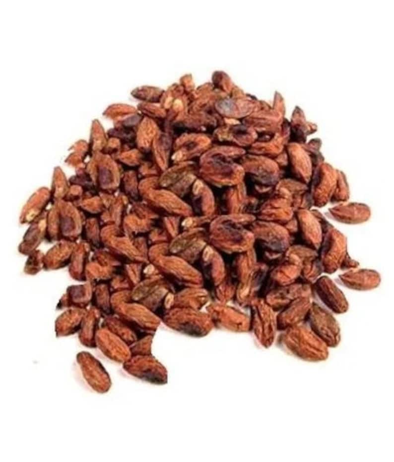 Neem Tree Seeds, Azadirachta Indica Seed, Neem Seed, Azadirachta Indica ...