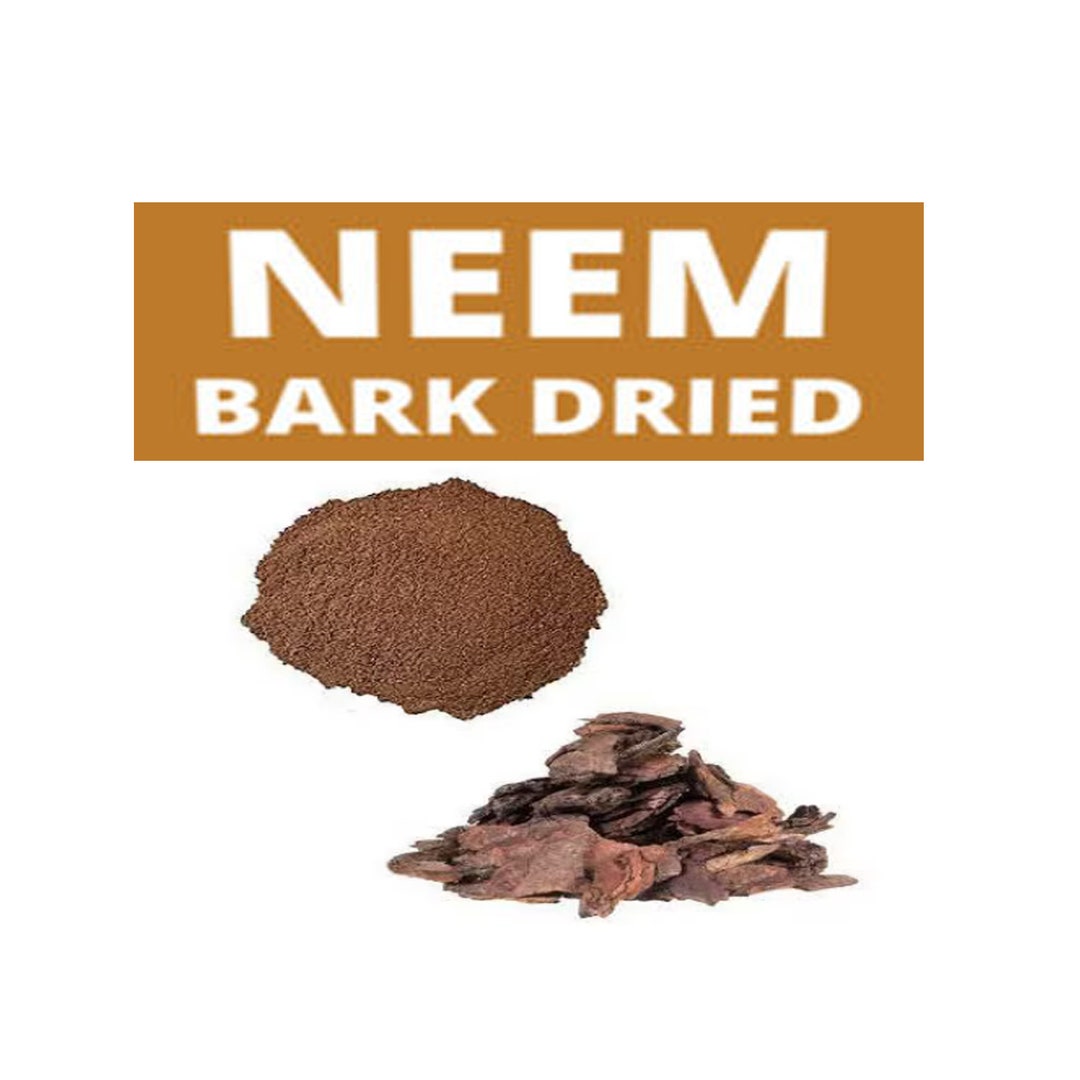 Azadirachta Indicam, Holi Tree Bark, Neem Bark Powder, Neem Chaal, Neem ...