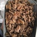 Salam Mishri, Salam Mishri Powder, Salab Misri Churna Whole and Powder ...