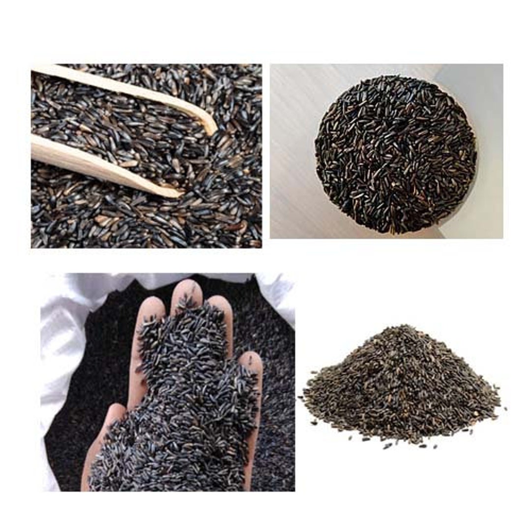 Ramtil Niger Seed Guizotia Abyssinica Organic Ramtil - Etsy