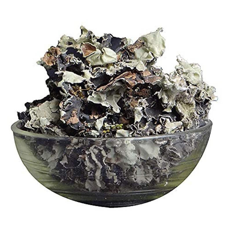 Indian Dagad Flower, Natural Stone Flower, Organic Dagad Phool, Whole ...