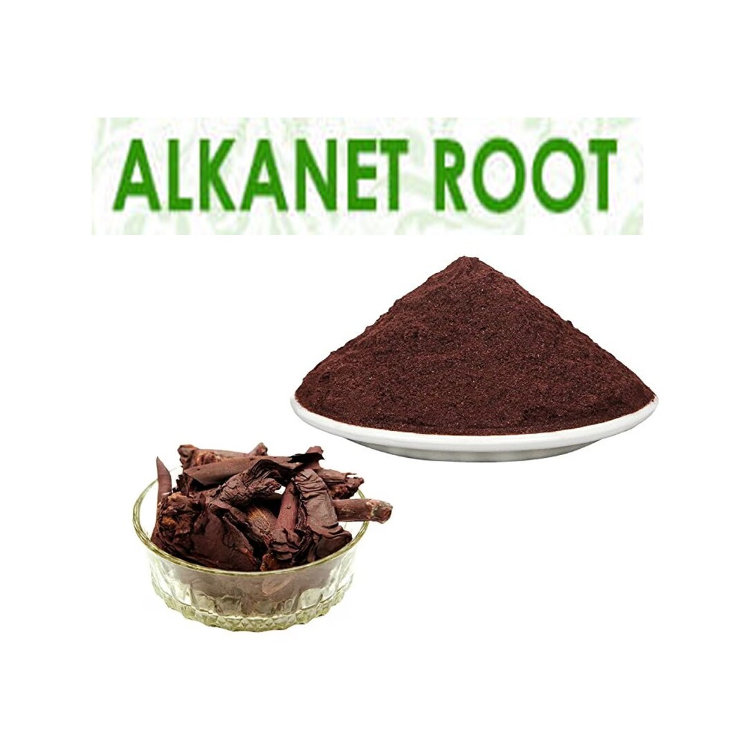 Organic Alkanet - Natural ALKANET - Wildcrafted - Dried Alkanet ...