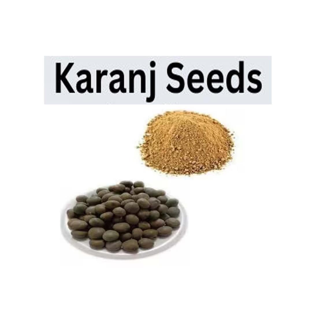 Pongamia Pinnata,karanj Beej,karanjwa,pongamia Glabra,latakaranj,sagar ...