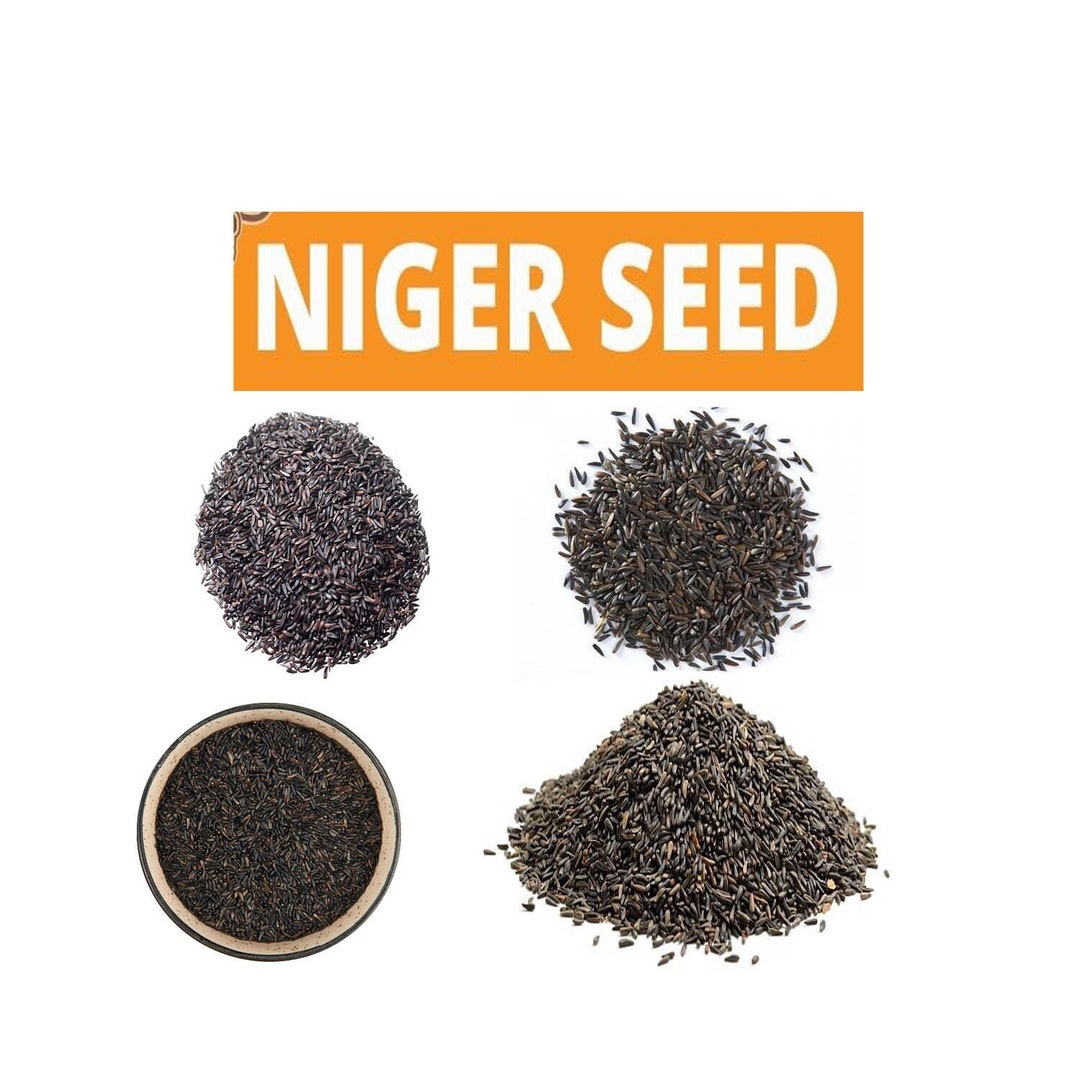 Ramtil, Niger Seed, Guizotia Abyssinica, Organic Ramtil, Natural Ramtil ...