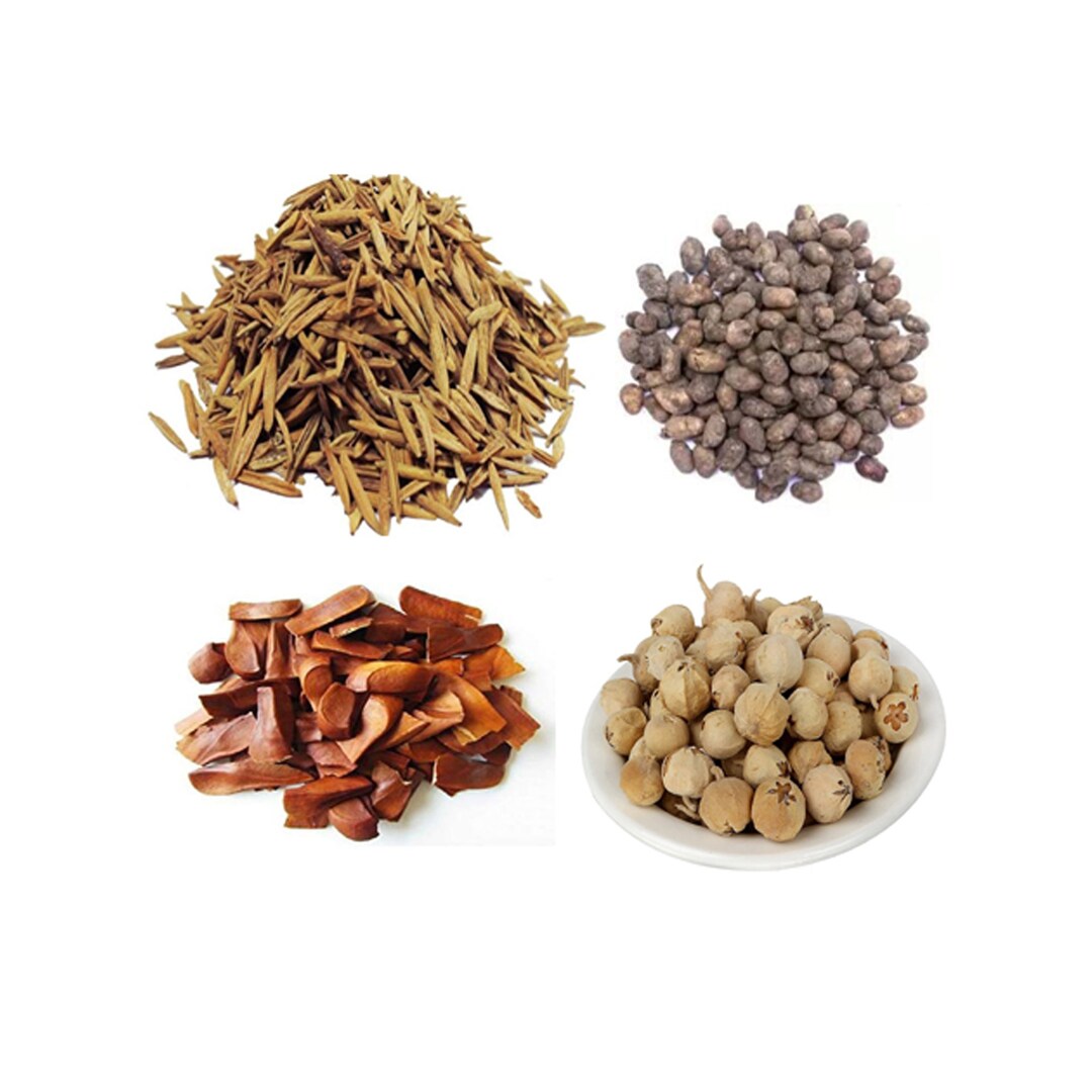 Indrajau Kadwa Badam Sky Fruit Paneer Dodi Phool Inderjau - Etsy