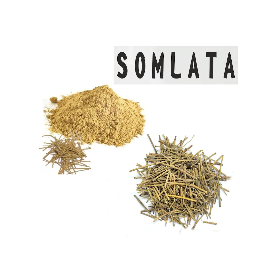 Somlata Powder, Somlata Churna, Gerard Jointfir Ain Khanta, Somlata ...