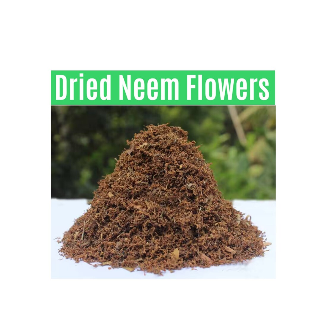 Flowers Azadirachta, Neem Phool,azadirachta Indica,raw Herbs,neem ...