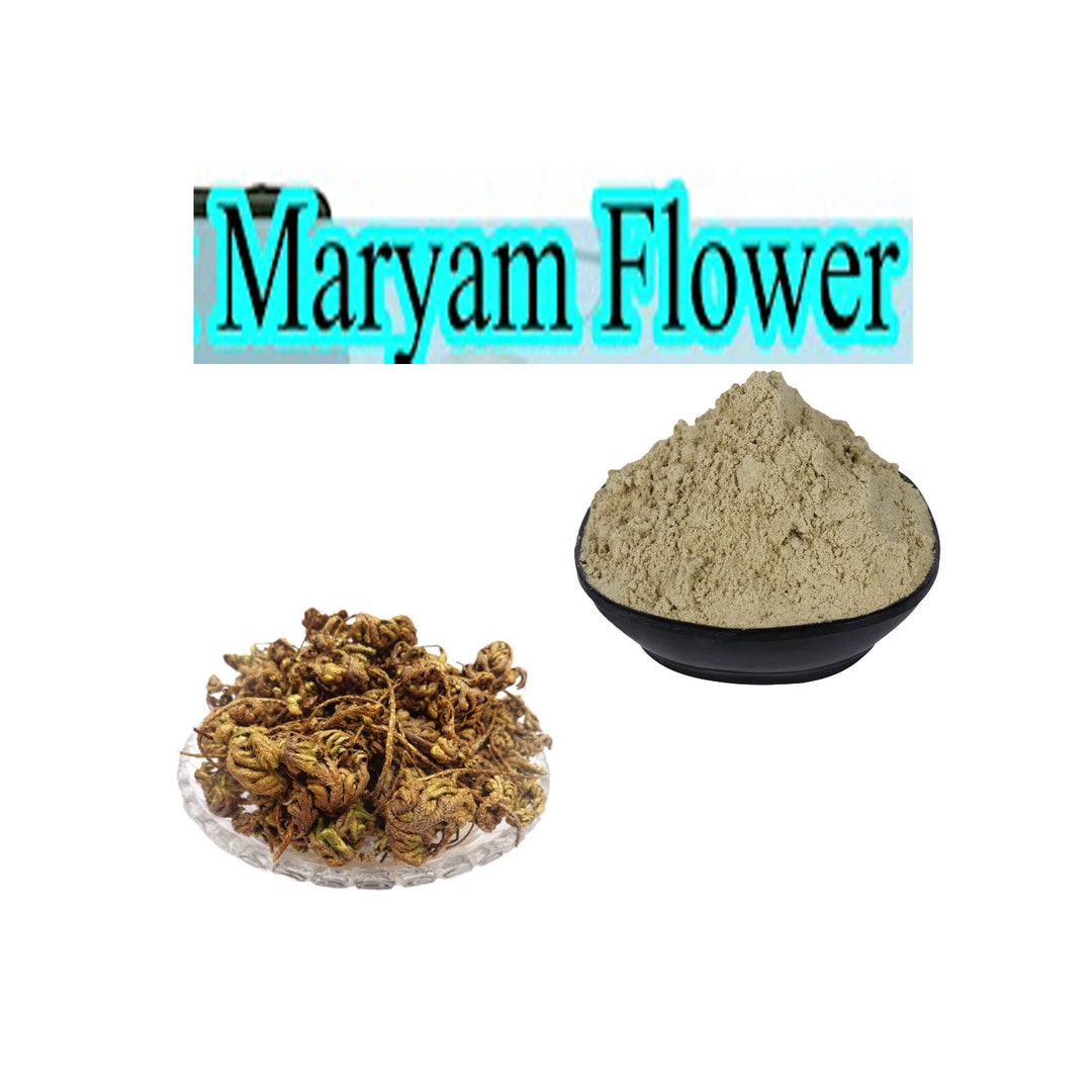 Kaf Maryam, Flowers of Maryam, Anastatica Hierochuntica, (maryaam Booti ...