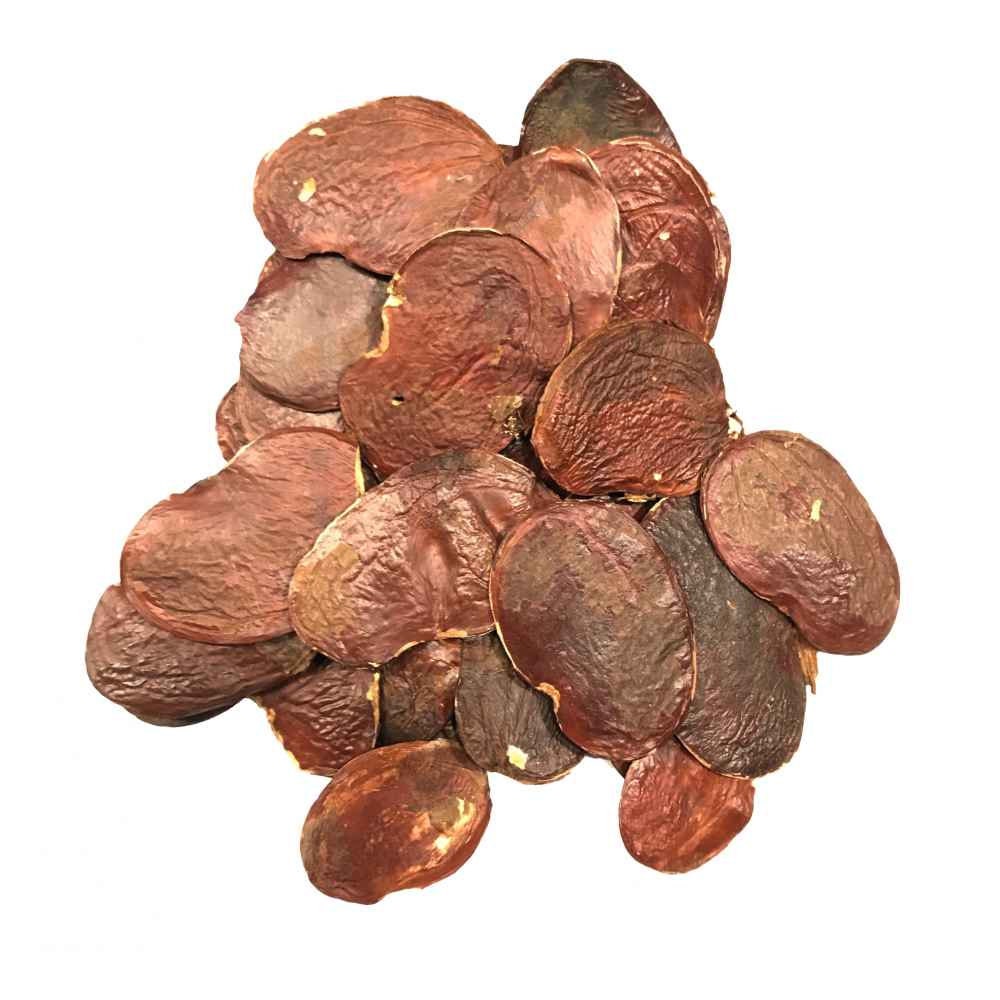 Palas Beej, Butea Monosperma Seeds, Palash Seeds, Bilas Papda, Tesu ...