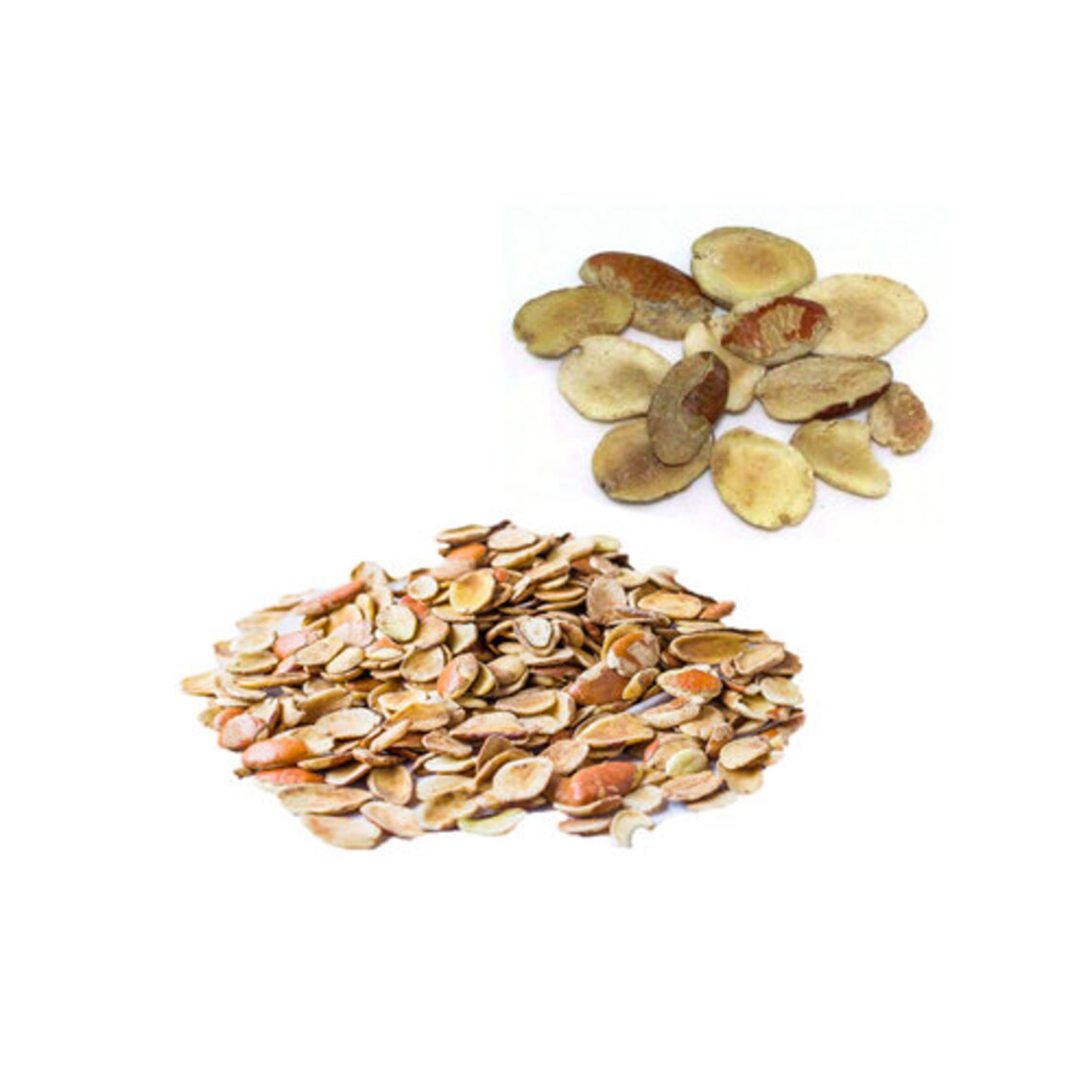 Dried Mango Seed, Mangifera Indica, Raw Herbs, Aam Guthali, Ogbono ...