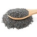 Organic Tukh Malanga, Balanga, Basil Seeds, Ocimum Basilicum ...
