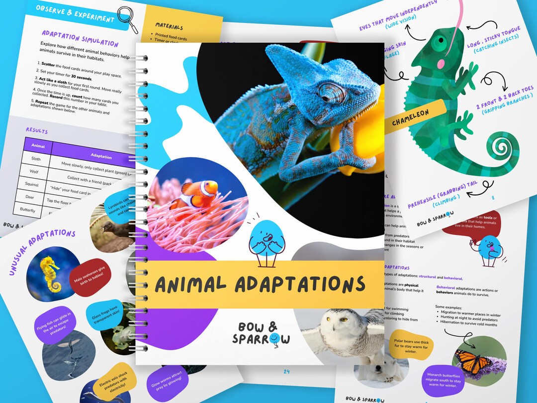 Animal Adaptations Unit Study – NGSS Curriculum-aligned Lesson Workbook ...
