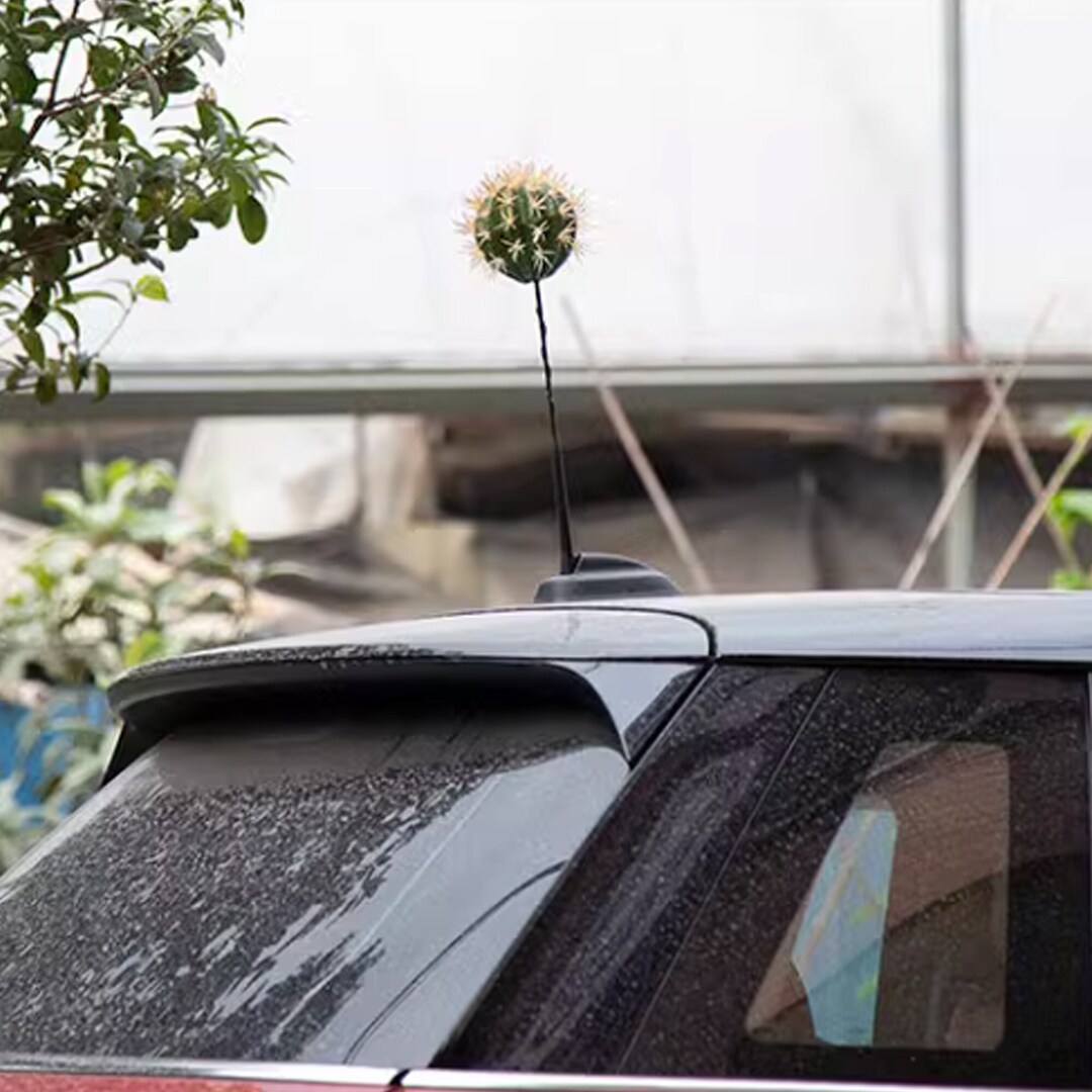 Simulation Cactus Car Roof Decor, Cactus Antenna Decoration, Cute Car ...